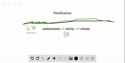 SOLVED:What is the process whereby nitrogen is brought into organic ...