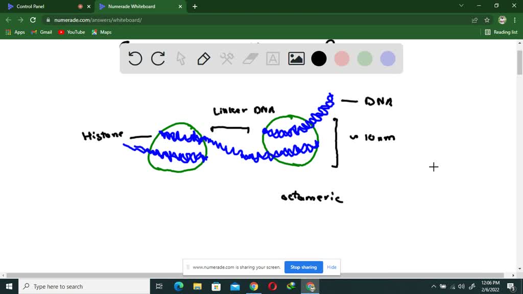 SOLVED:Draw a picture that illustrates how DNA helicase works.