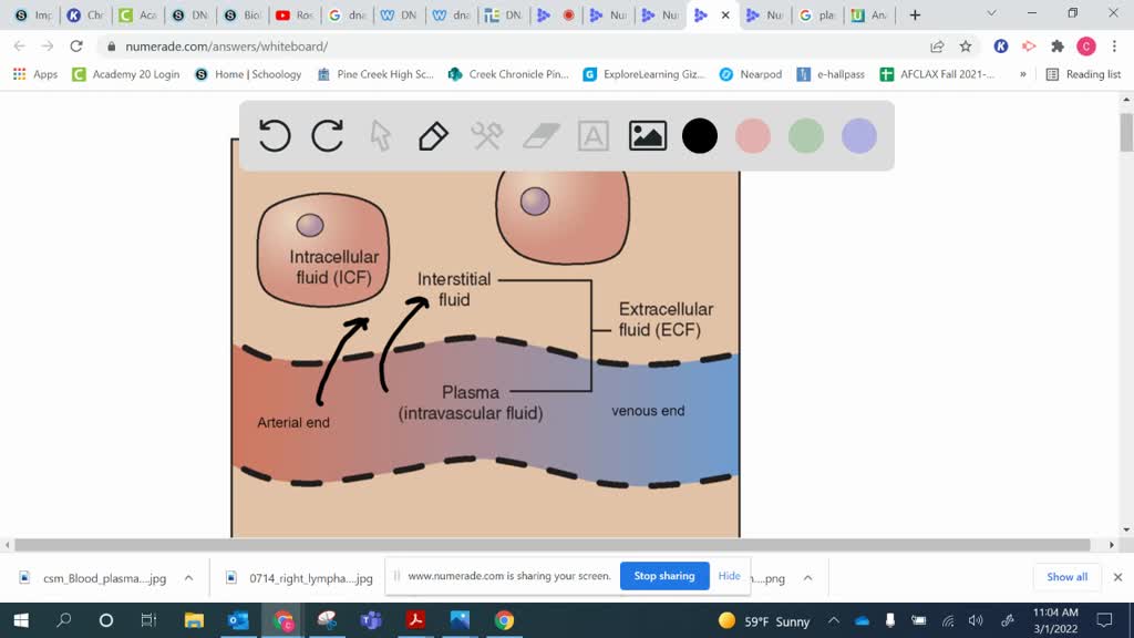 Distinguish between tissue fluid and lymph. | Numerade