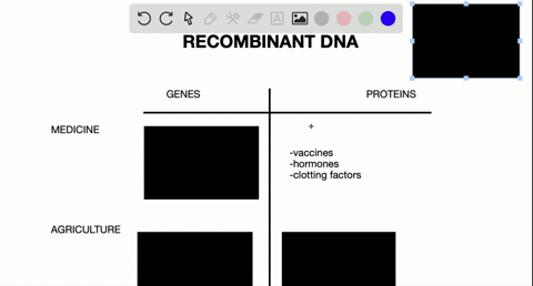 Chapter 12, DNA Technology and Genomics Video Solutions, Campbell ...