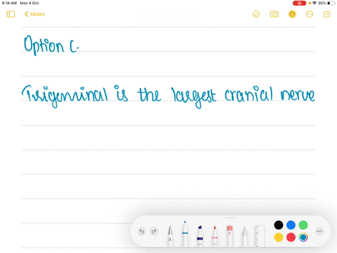 SOLVED:The trigeminal nerve contains which class(es) of nerve fibers ...