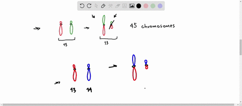 SOLVED:Why do some combinations of chromosomal centric fusions cause ...