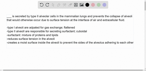 SOLVED: is secreted by type II alveolar cells in the mammalian lungs ...