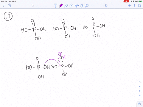 SOLVED:In the structure of acetyl coenzyme A drawn here, identify a ...