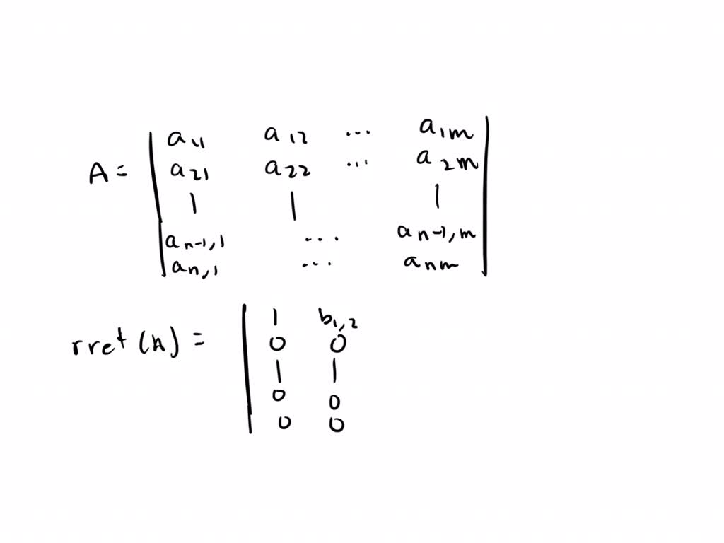Let A Be An N Square Matrix Show That A Is Invertible If And Only If Rankan Note That The