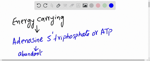 SOLVED: The most common energy-carrying molecule in all organisms is (a ...