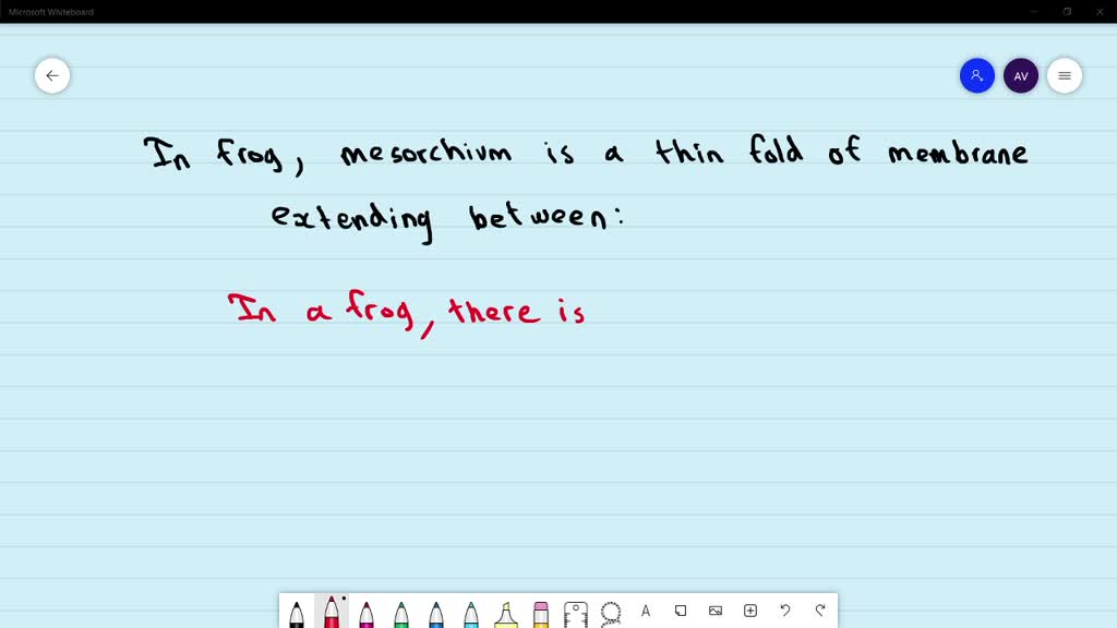 SOLVED:In frog, mesorchium is a thin fold of membrane extending between ...