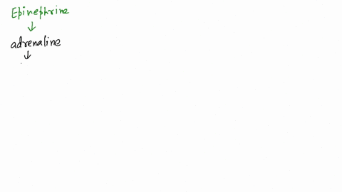 ⏩SOLVED:What is the main function of epinephrine at its target… | Numerade
