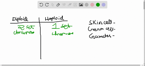 What is the difference between haploid and diploid cells?...