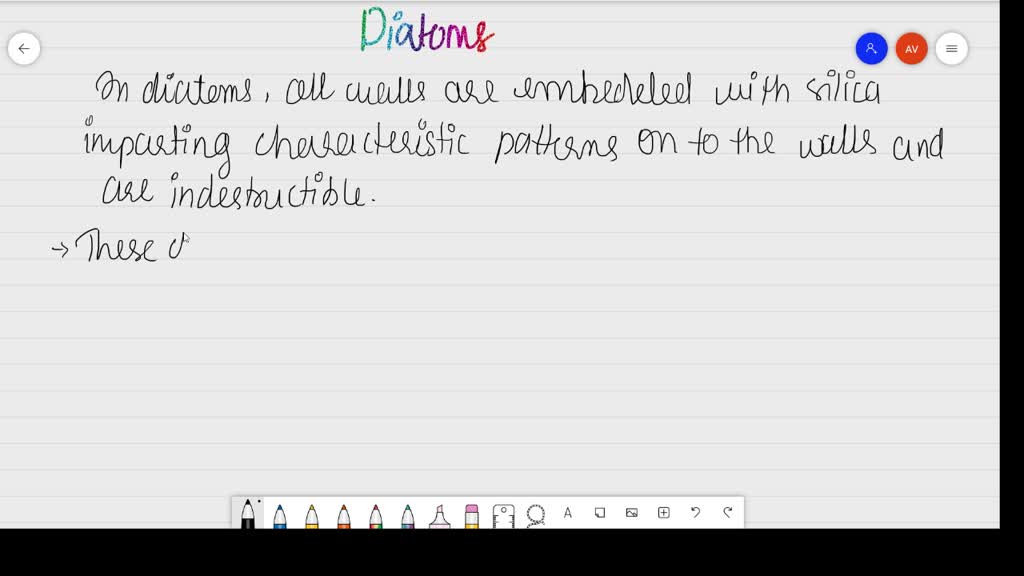 SOLVED What Is The Nature Of Cell walls In Diatoms solved-what-is-the-nature-of-cell-walls-in-diatoms