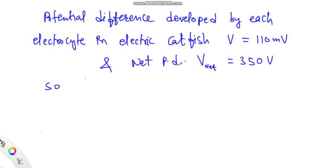 VIDEO solution:An electric catfish can generate a significant potential ...