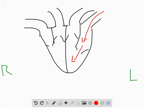 SOLVED:An infant with tetralogy of Fallot is experiencing a tet spell ...