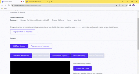 Chapter 20, Yeast Breads Video Solutions, Understanding Food ...