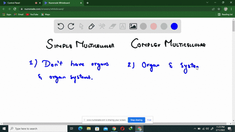 SOLVED:How do simple multicellular organisms differ from complex ...