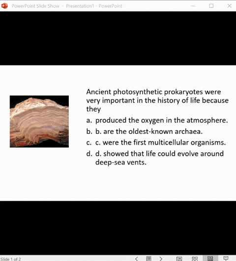 SOLVED:Ancient photosynthetic prokaryotes were very important in the ...